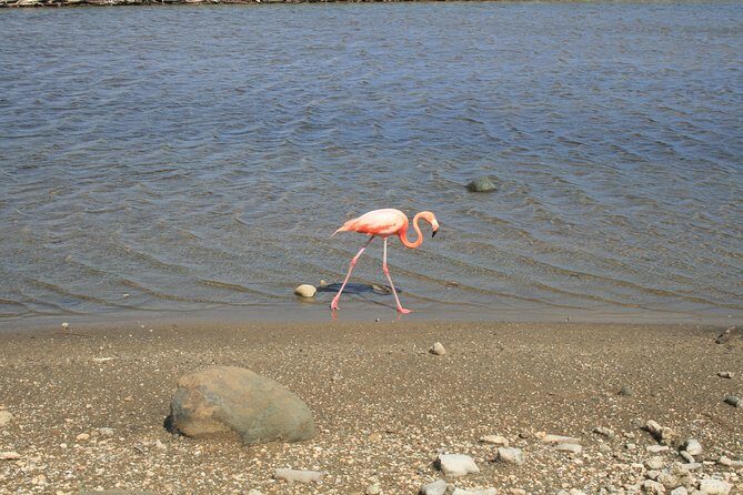 Fully Private North and South Tour with a Local Guide. - A Balanced Perspective