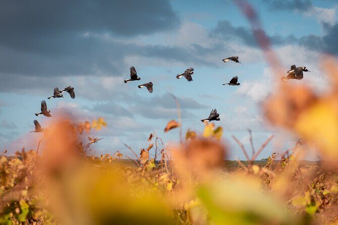 Fully Tailored Private Bespoke Tour of Margaret River - Practical Details
