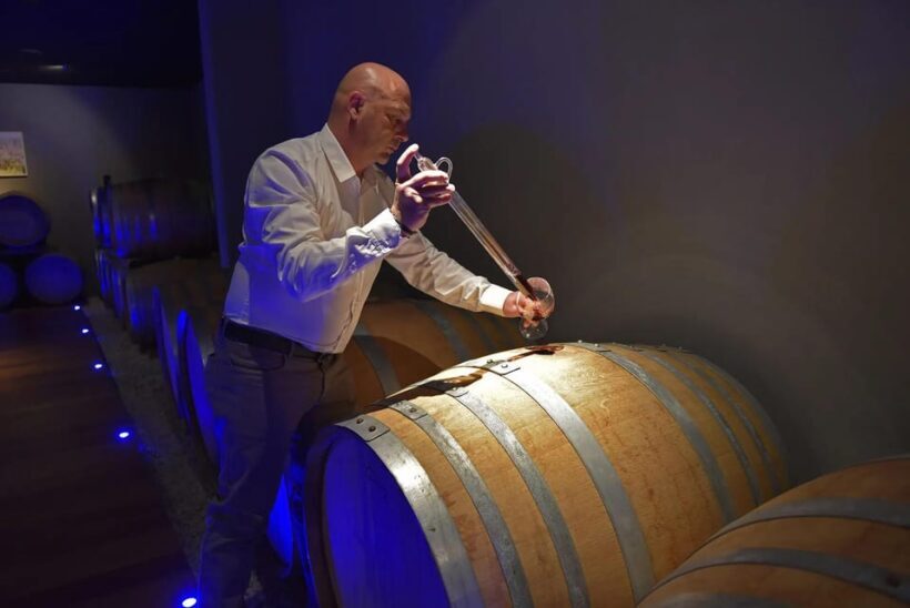 Fumane: a Journey Through Valpolicella's wine tasting - Final Words