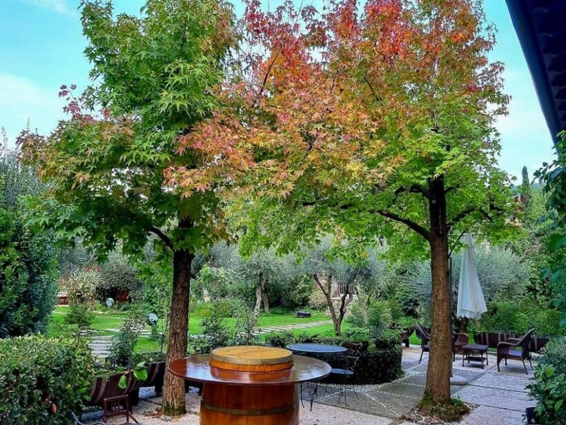 Fumane: cooking class with wine tasting in a Valpolicella - Final Thoughts