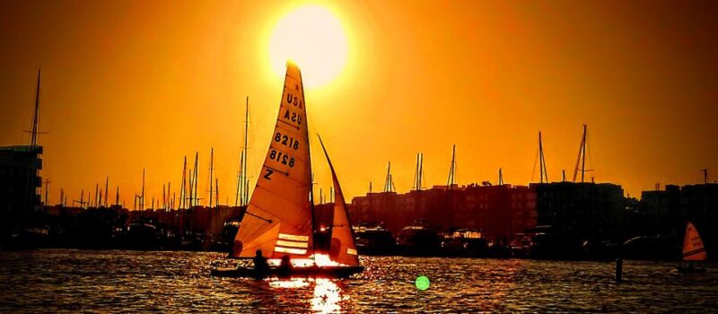 Fun Adventure Party Boat Cruise-Wine-Charcuterie & Sealions - The Experience Provider: Marina Cruisers