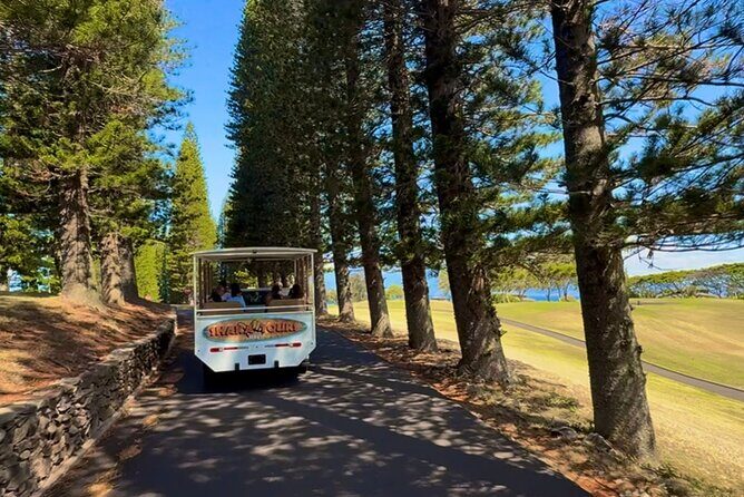 Fun & Affordable! West Maui Open-Air Sightseeing Tour! - FAQ Section