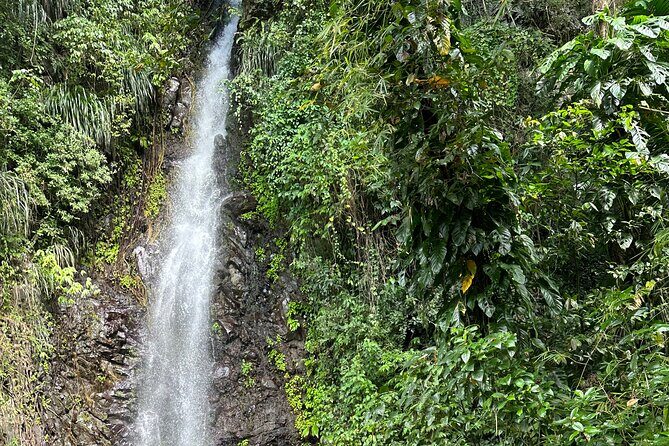 Fun and Exhilarating Experience at Dark View Falls - Key Points