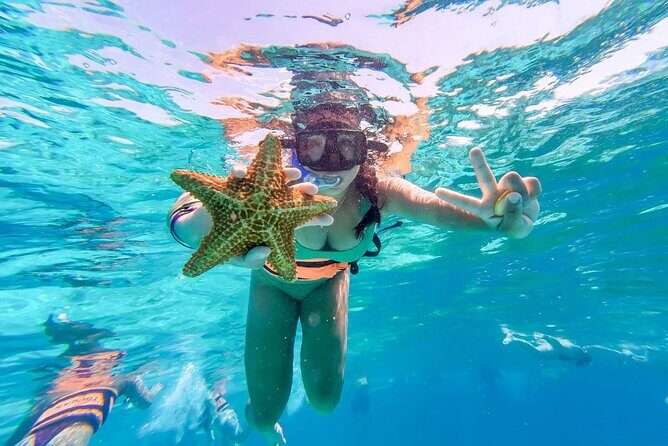 Fun Catamaran Excursion to Isla Mujeres with Unlimited drinks! - Who Should Book This?