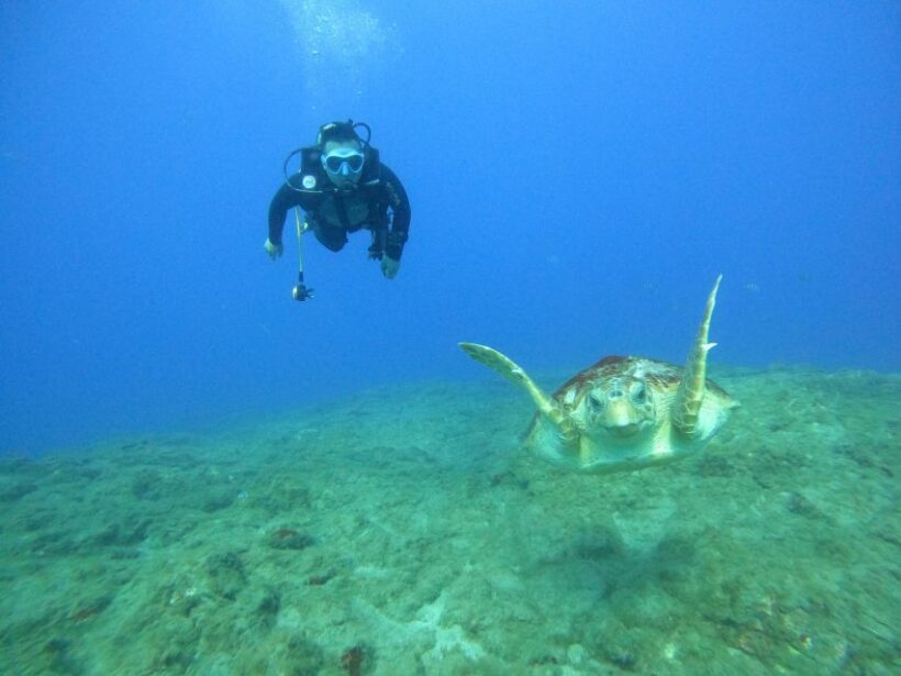 Fun Dive for Certified Divers in Tenerife - Exploring Fun Dives for Certified Divers in Tenerife: A Practical Guide