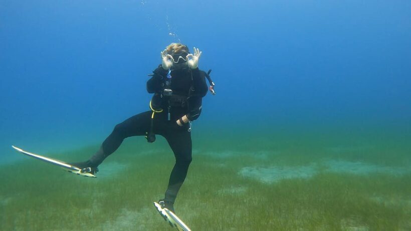 Fun Dive for Certified Divers in Tenerife - What to Expect from This Experience