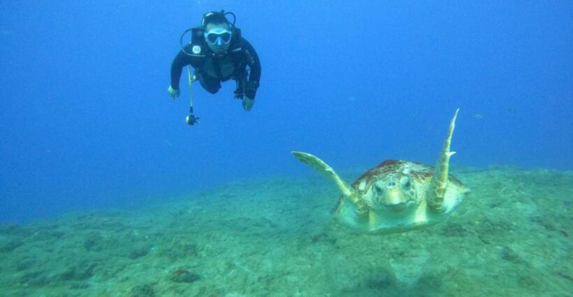 Fun Dive for Certified Divers in Tenerife - FAQ