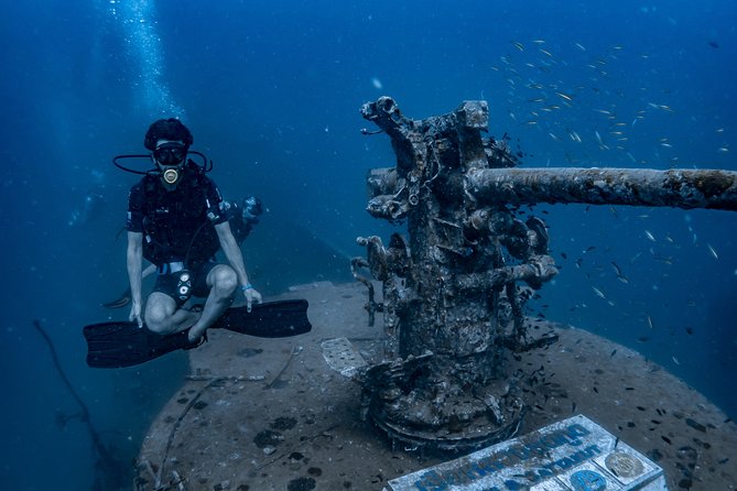 Fun Diving Packages (Certified Divers) - The Detailed Itinerary: What You Can Expect