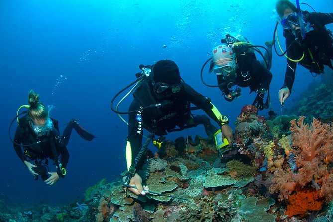 Fun Diving Tulamben Bali - For Certified Divers - Why This Tour Stands Out for Certified Divers