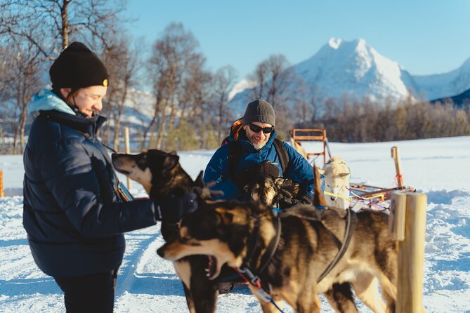 Fun & Easy Dog Sledding Adventure - Noon Tour - Final Thoughts