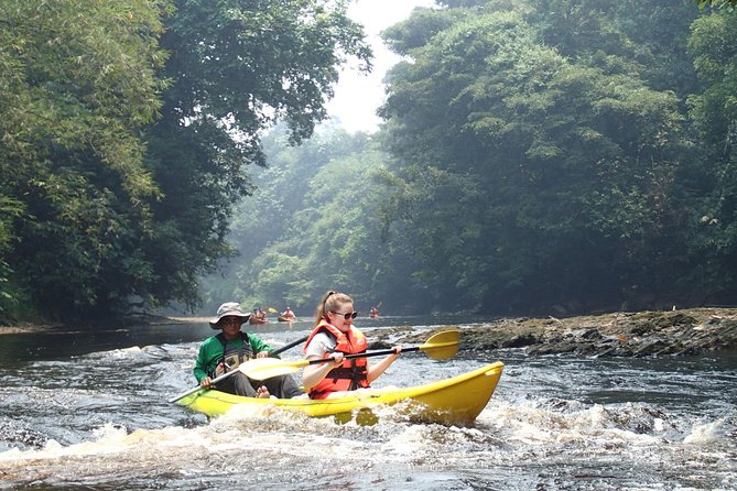 Fun Filled Kayaking Adventure in Kuching - Who Will Appreciate This Tour?