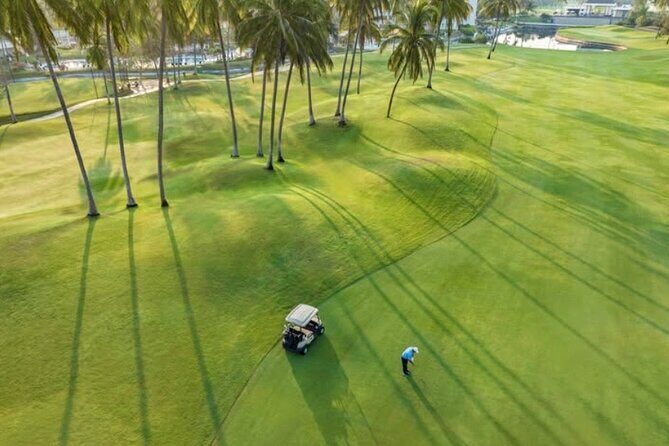 Fun golf lessons for beginners of all ages - What the Tour Entails: A Closer Look