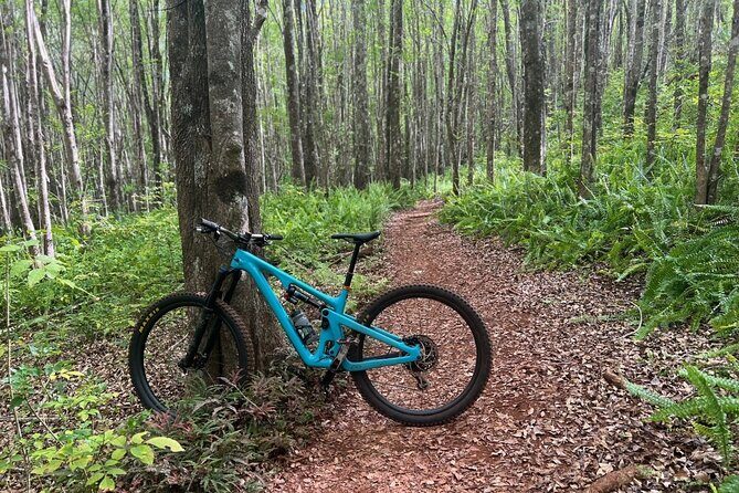 Fun Mountain Bike riding on trails in Maui Hawaii! - Introduction