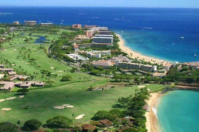 Fun! Open-Air Banyan Tree Forest & Blowhole Sight-Seeing MauiTour - Who Should Take This Tour?