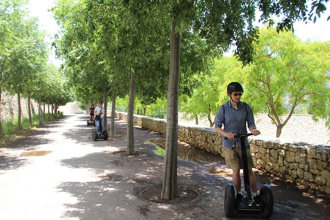Fun Private Segway Tour in Valencia - Exploring Turia Park