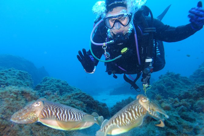 Fun Scuba Diving in Tenerife - Reviews and Testimonials From Divers