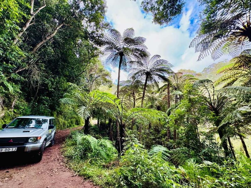 Funchal: 4x4 Jeep Trip to the East and Northeast of Madeira - Key Points