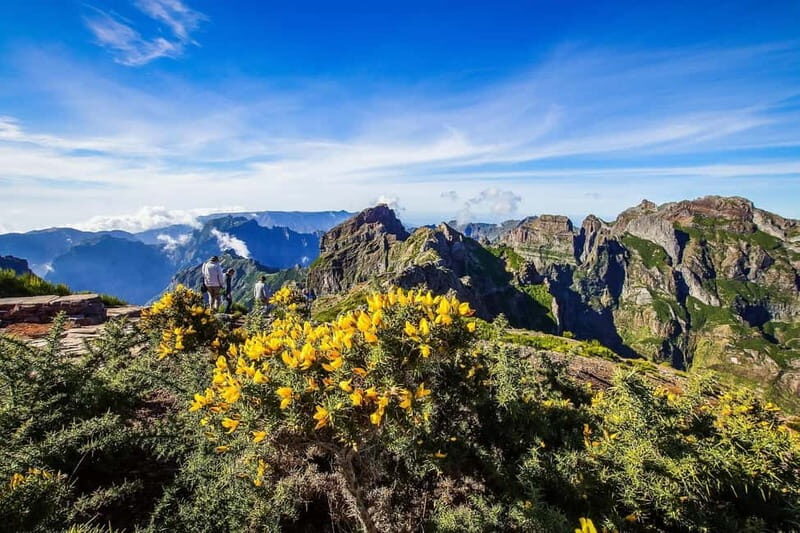 Funchal: 4x4 Jeep Trip to the East and Northeast of Madeira - What Makes This Tour Stand Out?