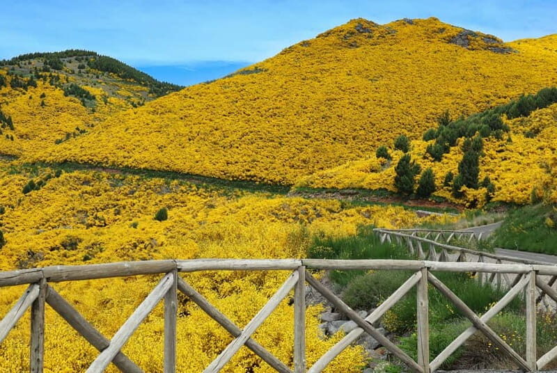 Funchal: 4x4 Jeep Trip to the East and Northeast of Madeira - Authentic Experiences That Shine