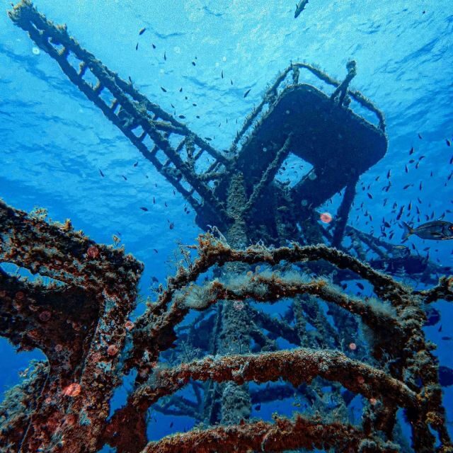 Funchal: Advanced Scuba Diving Afonso Cerqueira Wreck - The Itinerary in Detail