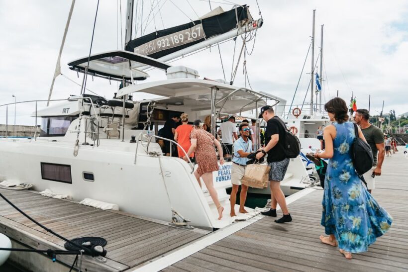 Funchal Bay: Dolphin & Whale Watch Luxury Catamaran Cruise - Setting Sail: What to Expect on Your Madeira Marine Adventure