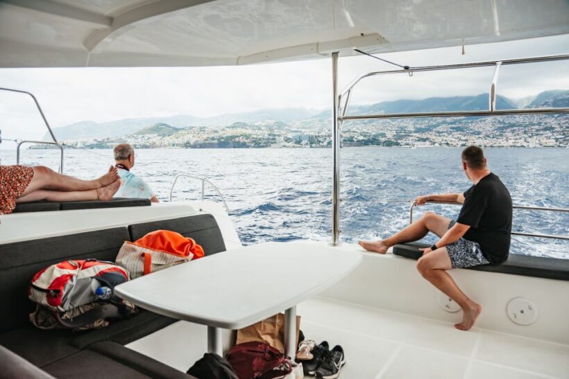 Funchal Bay: Dolphin & Whale Watch Luxury Catamaran Cruise - Authentic Insights from Past Travelers
