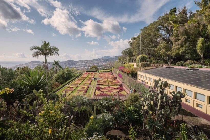 Funchal: Botanical Garden and Old Town Private Tuk-Tuk Tour - The Sum Up