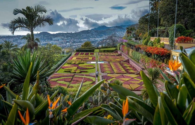 Funchal: Botanical Garden & Old Town Tour by TukTuk (1h45) - Exploring Funchal’s Old Town
