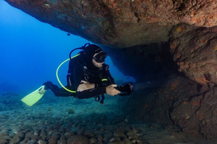 Funchal: Certified Scuba Diving, Guided Tour - The Experience from the Reviews