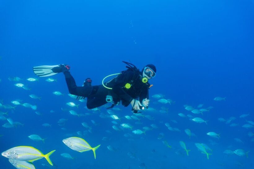 Funchal: Certified Scuba Diving, Guided Tour - Practical Details: Price, Duration, and Logistics
