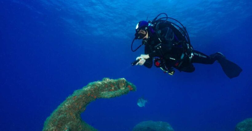 Funchal: Certified Scuba Diving, Guided Tour - FAQ