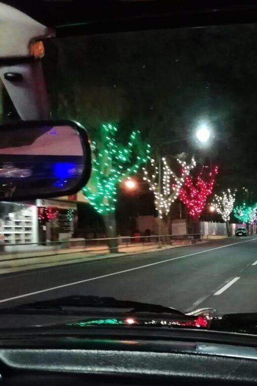 Funchal: Christmas Lights Sightseeing Night Tour - The Sum Up