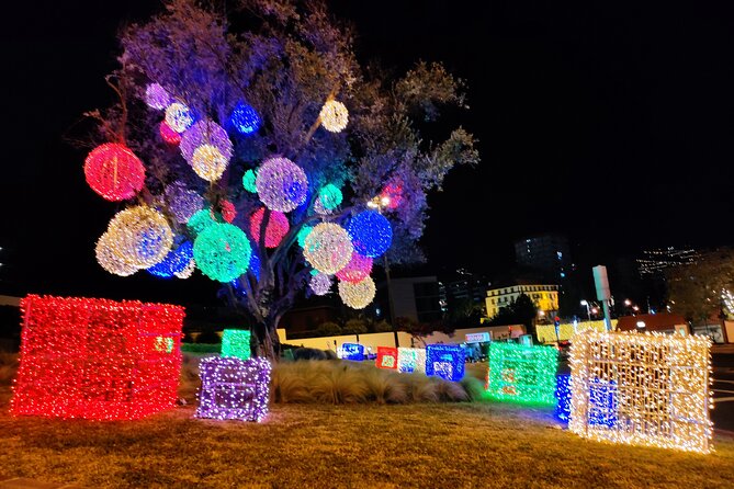 Funchal Christmas Lights Sightseeing Night Tour - Traveler Reviews and Recommendations