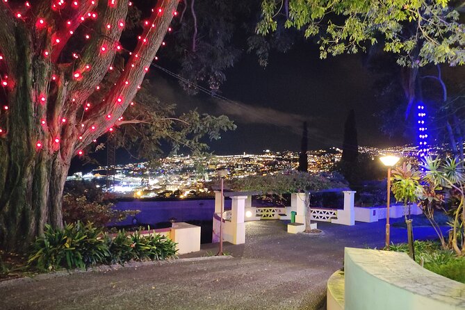 Funchal Christmas Lights Sightseeing Night Tour - The Magic of Funchals Christmas Lights