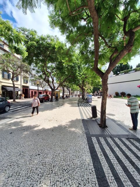 Funchal City Tour - Practical Details and Tips