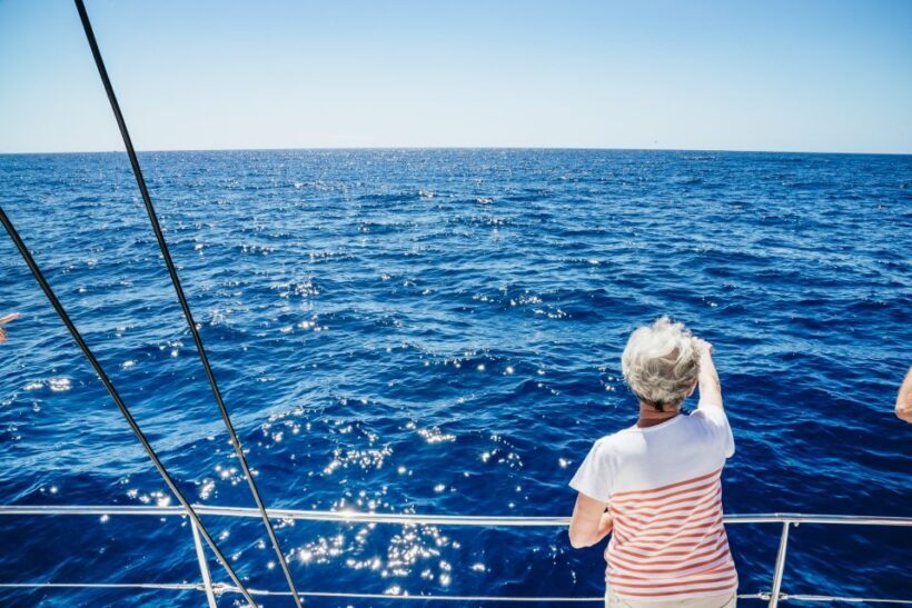 Funchal: Dolphin and Whale Watching by Luxury Catamaran - Funchal: Dolphin and Whale Watching by Luxury Catamaran — An Authentic Ocean Adventure