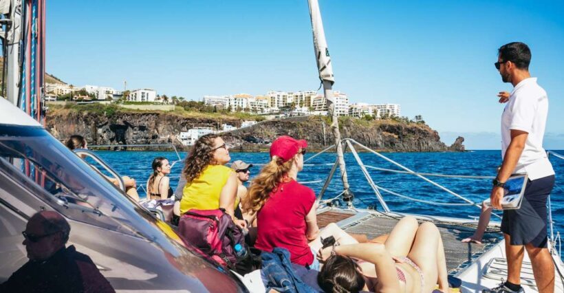 Funchal: Dolphin and Whale Watching by Luxury Catamaran - Key Points