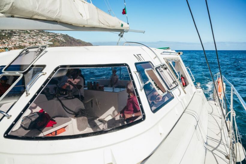 Funchal: Dolphin and Whale Watching by Luxury Catamaran - Who Will Love This Tour?