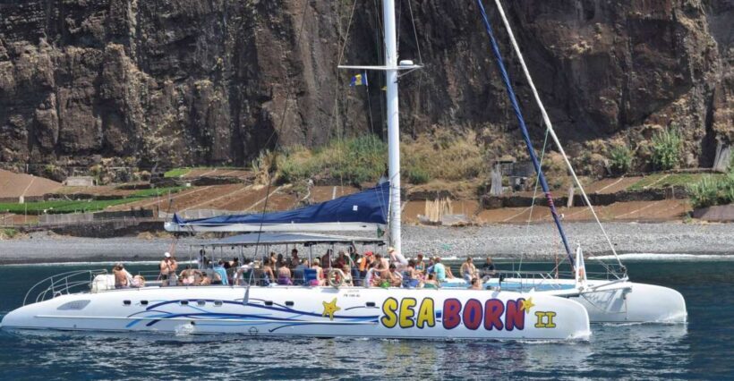 Funchal: Dolphin and Whale Watching Catamaran Cruise - FAQ