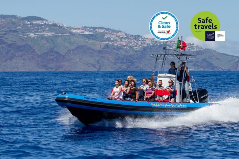 Funchal: Dolphin and Whale Watching Cruise - An Authentic Ocean Adventure in Madeira