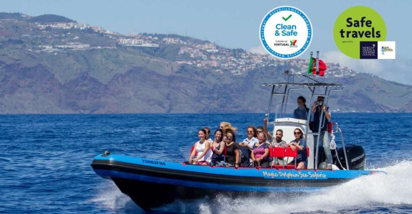 Funchal: Dolphin and Whale Watching Cruise - FAQ