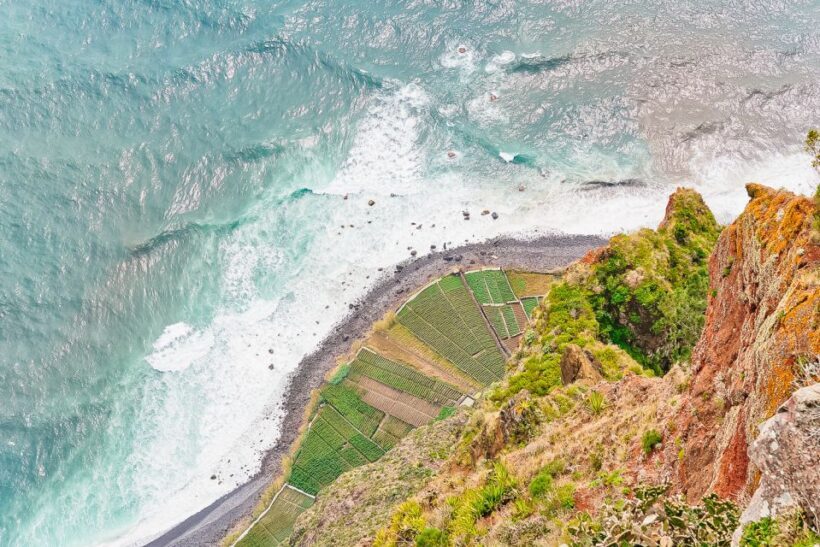 Funchal: Dolphin and Whale Watching Sailing Trip - Introduction: What Makes This Tour Worth Considering?
