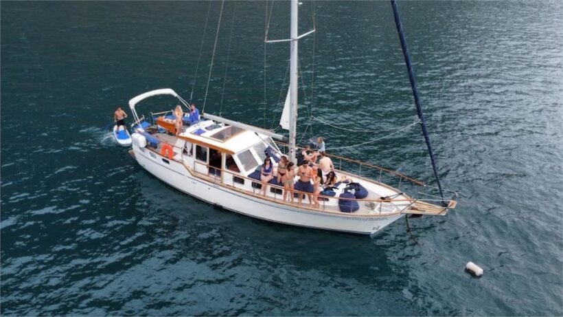 Funchal: Dolphin and Whale Watching Sailing Trip - The Practical Side: What to Expect