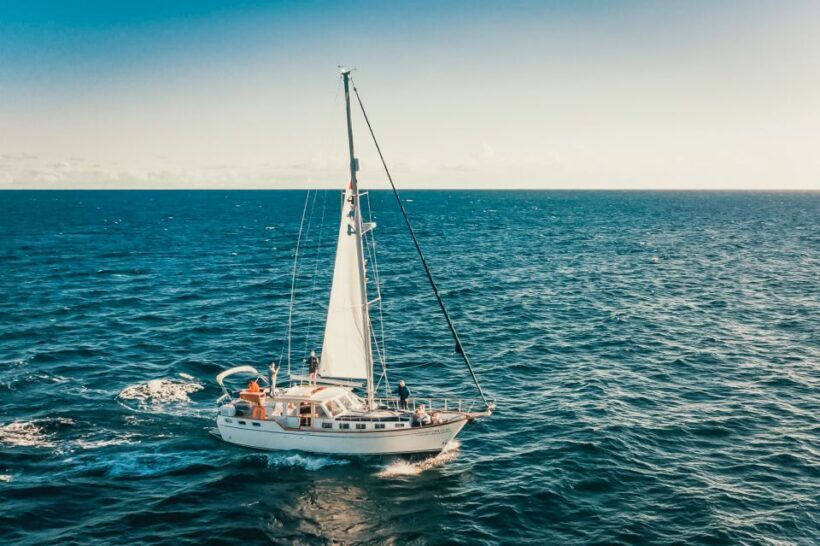 Funchal: Dolphin and Whale Watching Sailing Trip - FAQ