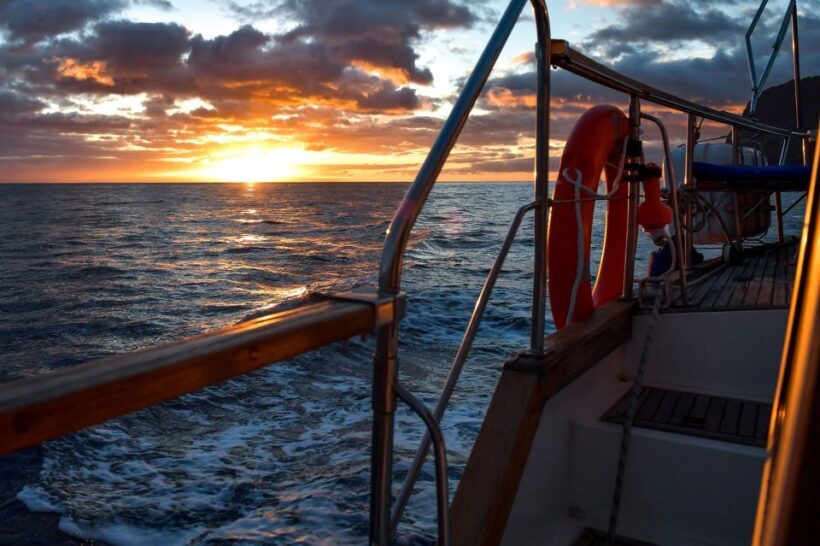 Funchal: Dolphin and Whale Watching Sunset Sailing Tour - What to Bring