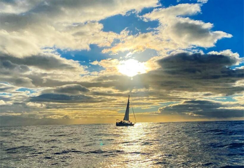Funchal: Dolphin and Whale Watching Sunset Sailing Tour - Review Highlights from Past Travelers