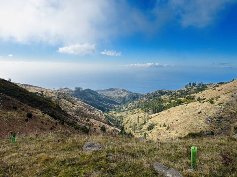 Funchal: East Madeira Island Guided Tour & Laurissilva Walk - FAQ