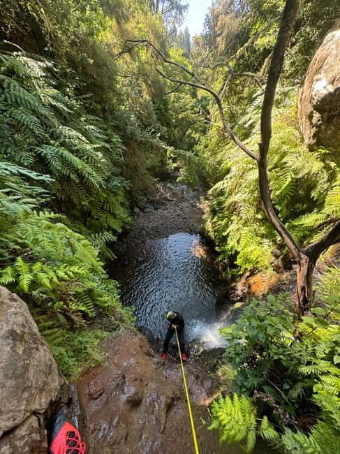 Funchal: Explore Canyoning Level 1 Rochão - What to Expect from the Canyoning Experience