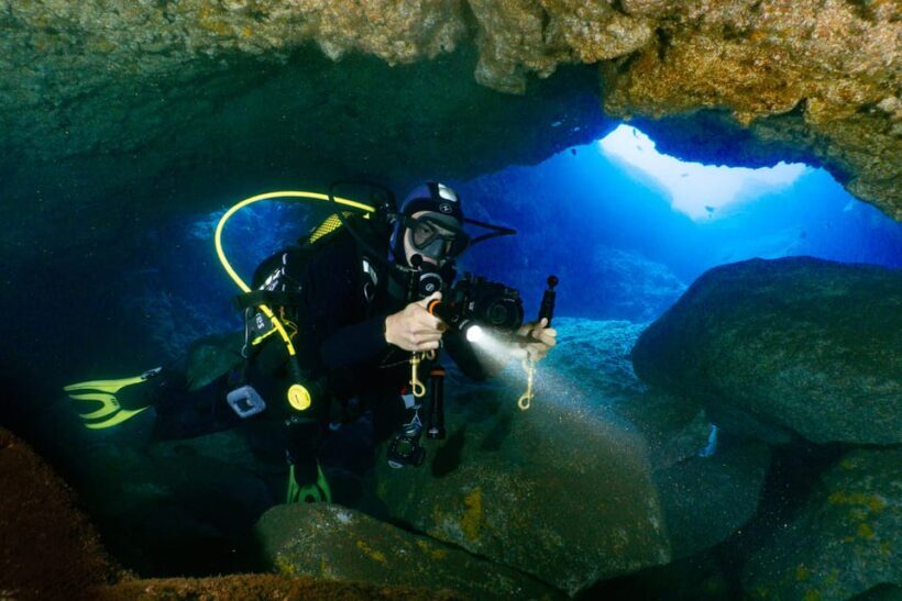 Funchal: Garajau national park - certified divers - Key Points