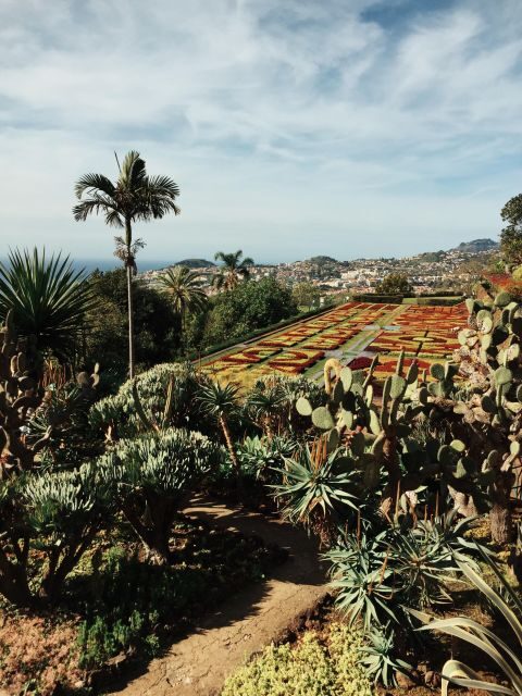 Funchal: Guided Old Town Tuk Tuk Tour and Botanical Gardens - Final Thoughts